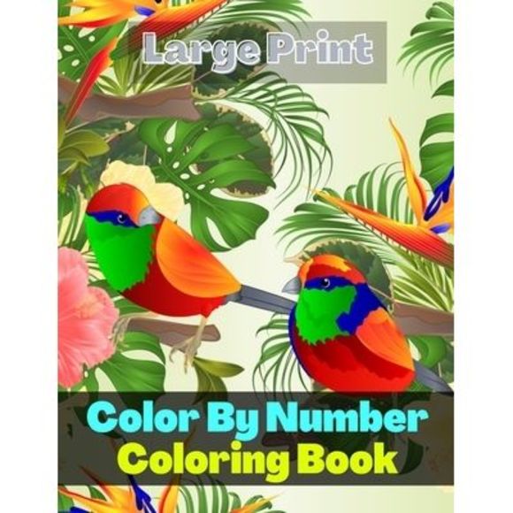 Jamina Josan | Other | Large Print Color By Number Coloring Book Adult ...